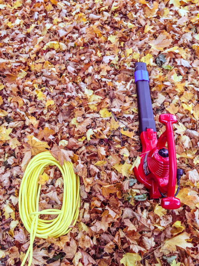 Cleaning Leaves in Your Yard: Manual and Power Methods | Founterior