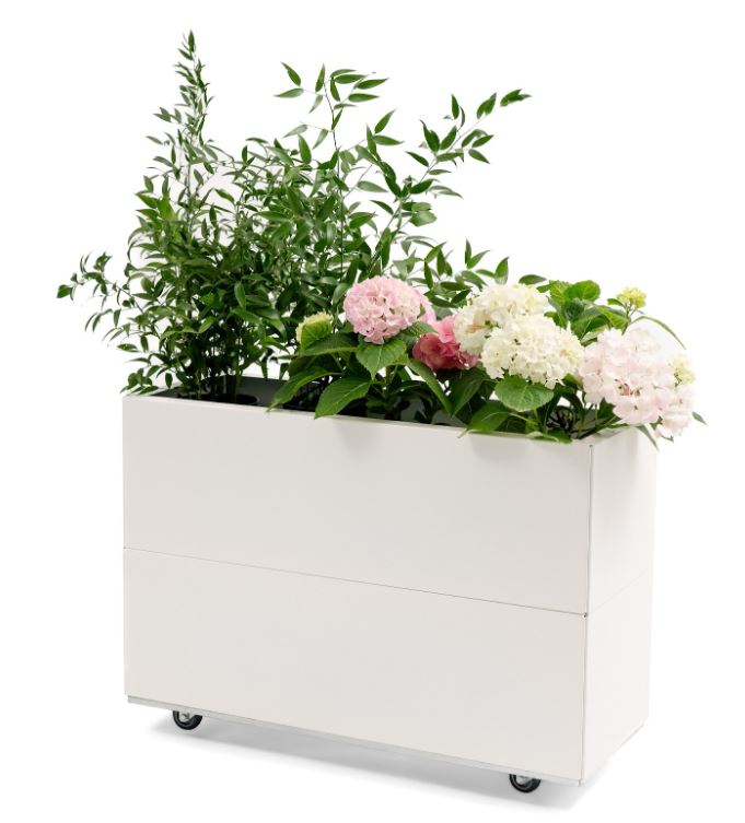 Durable vs. Decorative: Picking Plant Boxes for Your Climate